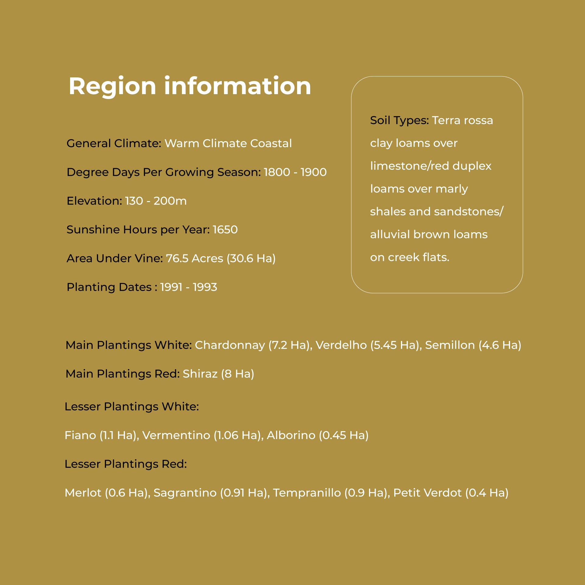 Vineyards – Pepper Tree Wines